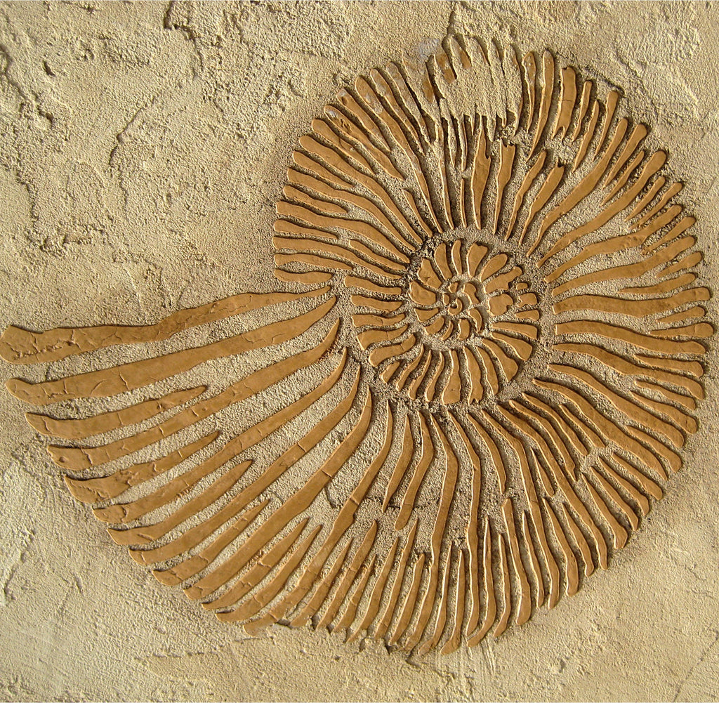 Reusable Fossil Wall Stencils | Fossil Design Stencils
