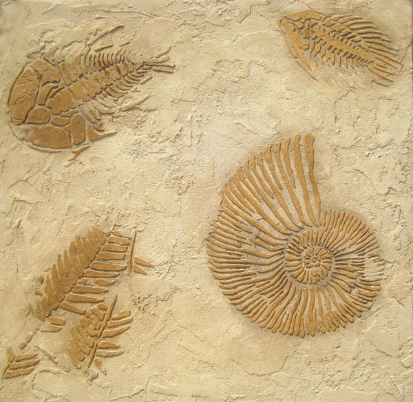 Reusable Fossil Wall Stencils | Fossil Design Stencils