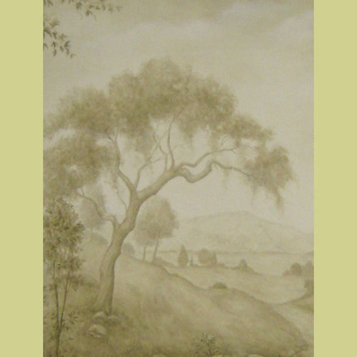 Wall stencils for murals, large tree stencils made of sturdy 12 mil