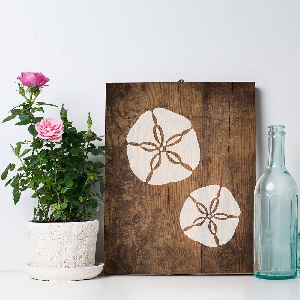 small Sand Dollar Stencil for Nautical Decor - Beach Decor Stencils for ...