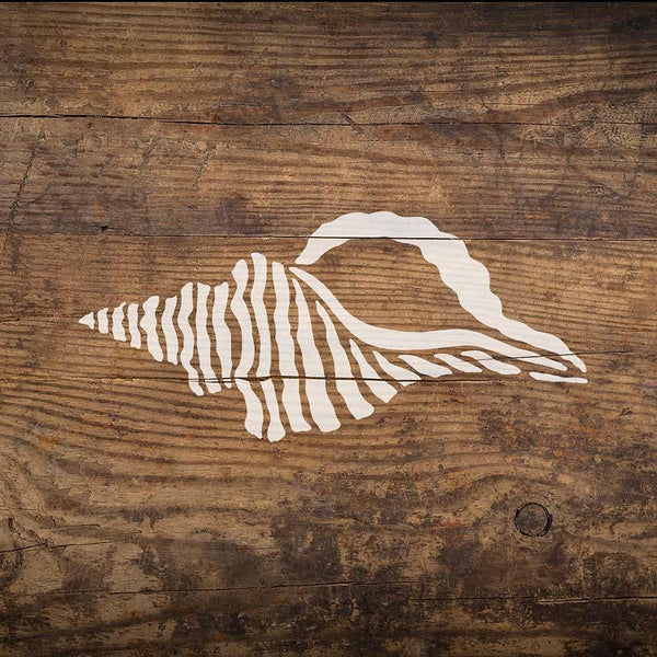 Seashell Stencil for Painting | Reusable Seashell Stencil