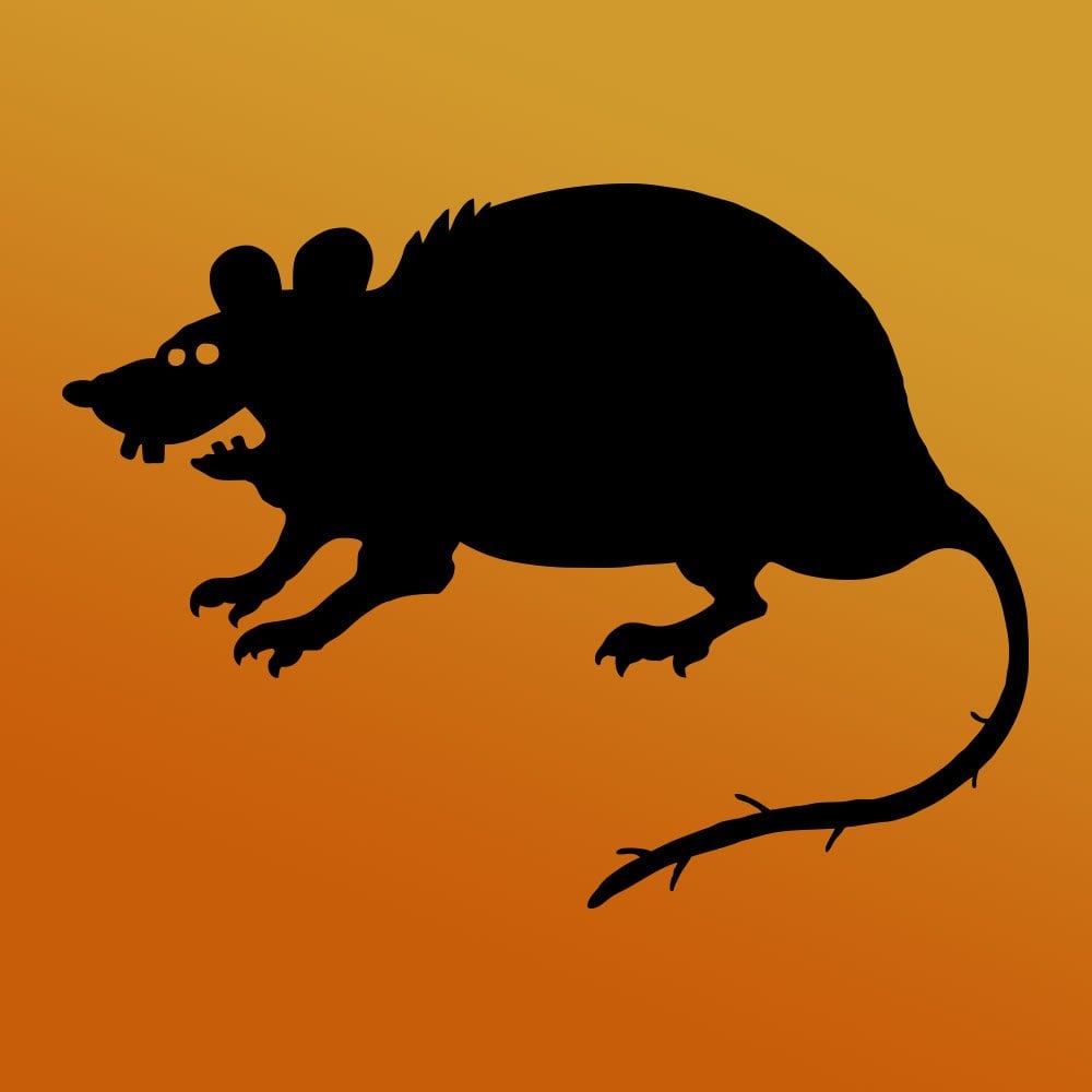 Fat Rat Halloween Stencil | Stencil of a Silly Rat