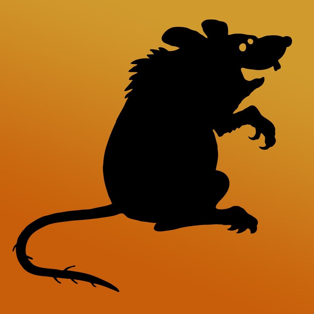 Sitting Rat Halloween Stencil | Stencil of a Goofy Rat